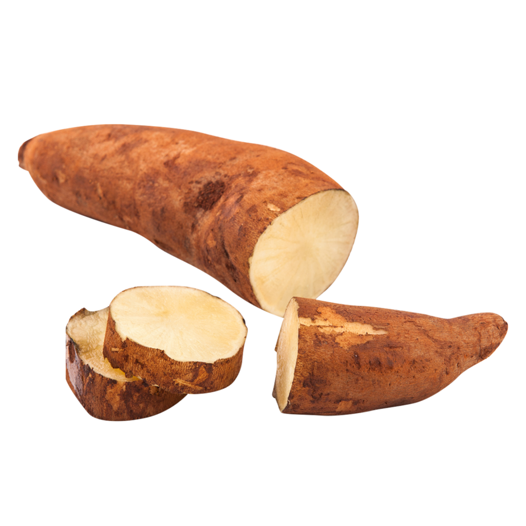 El Yacón: una sana y dulce alternativa – Peru Consult